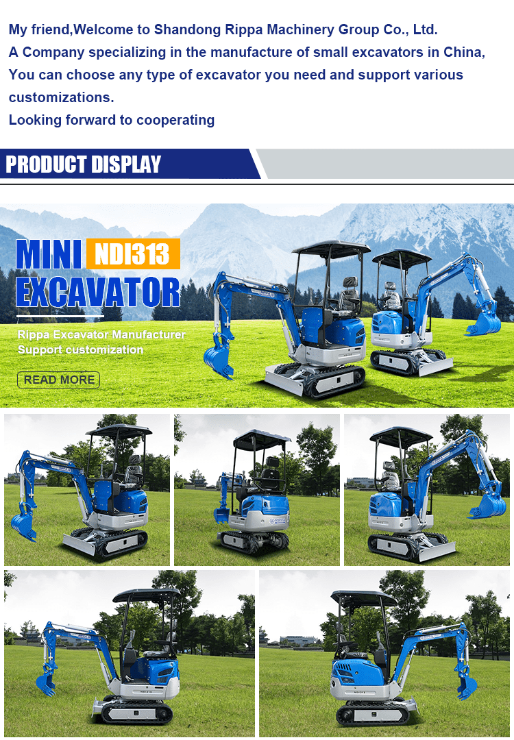 Chinese Mini Excavator Manufacturer-Rippa Mini Excavator-NDI313 Mini ...