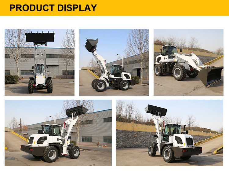 R925 Wheel Loader - Mini Excavators For Sale - Rippa® China ...